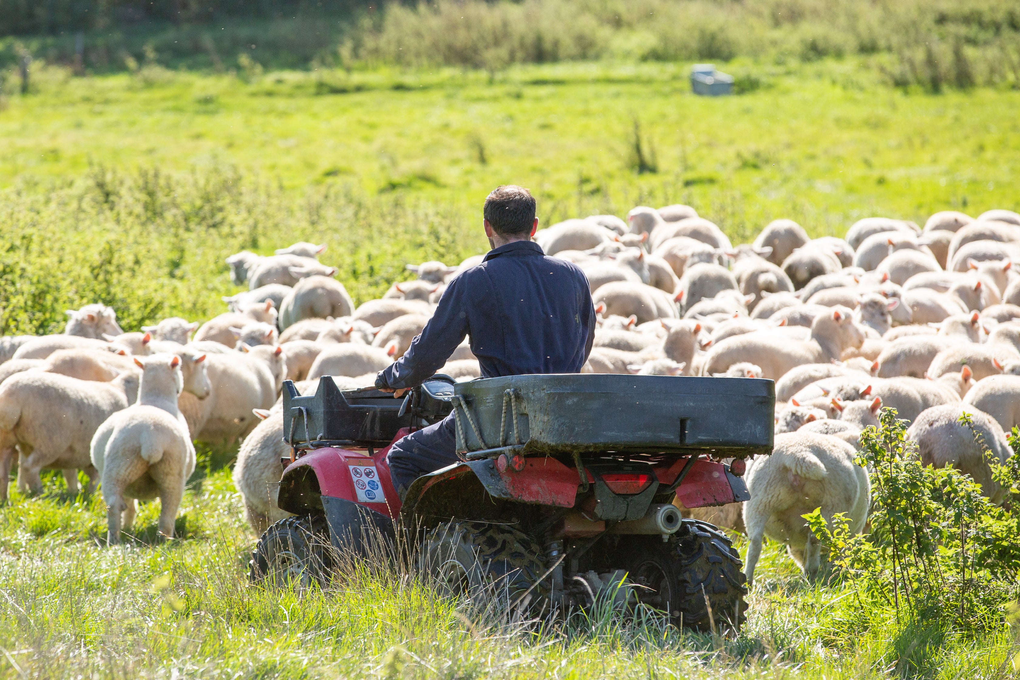 Farm2Fork Nationwide Delivery | Grass-Fed Meat to Your Door